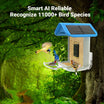 BirdReel Smart Bird Feeder - Now Available at more than 140 Wild Birds