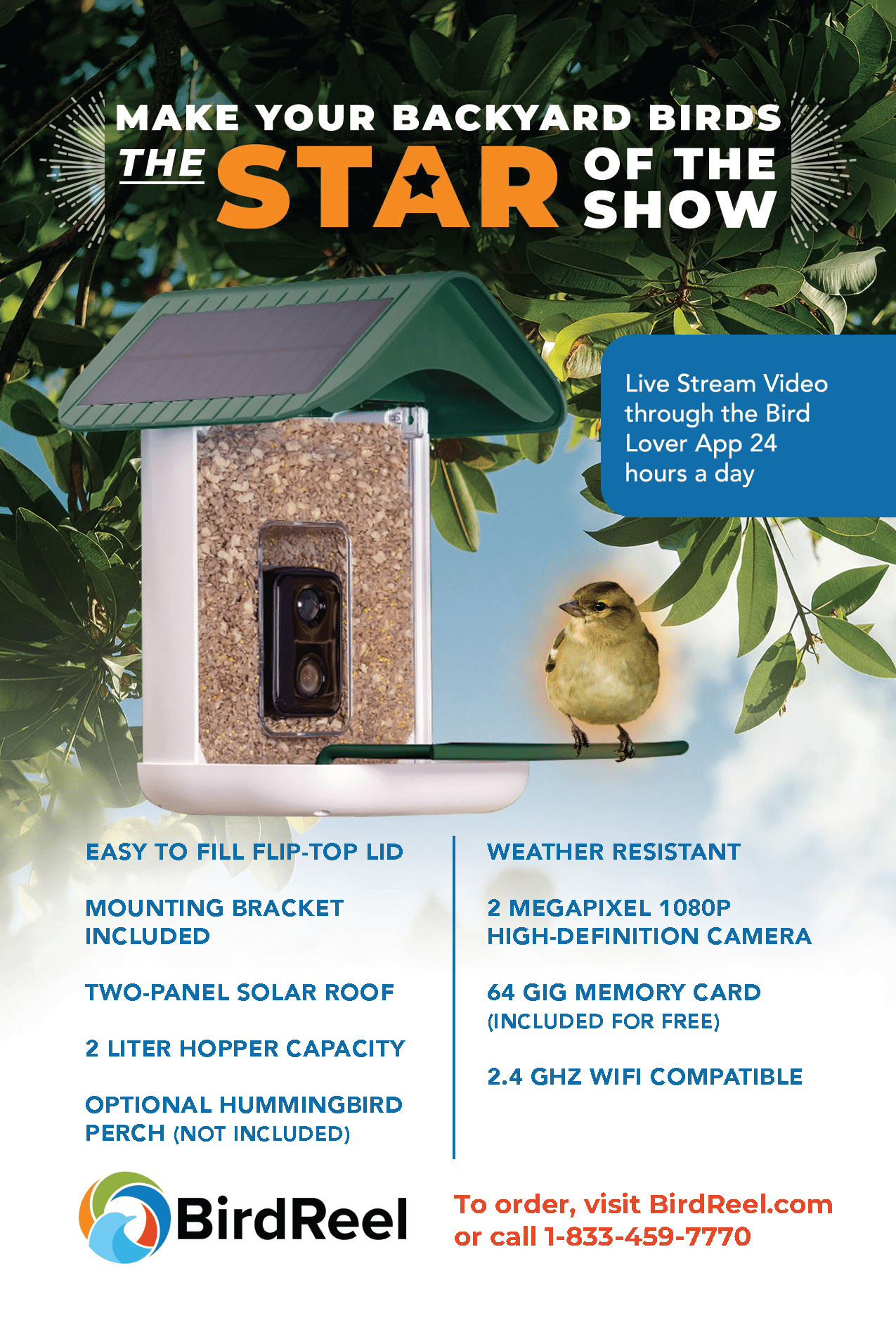 BirdReel Smart Bird Feeder