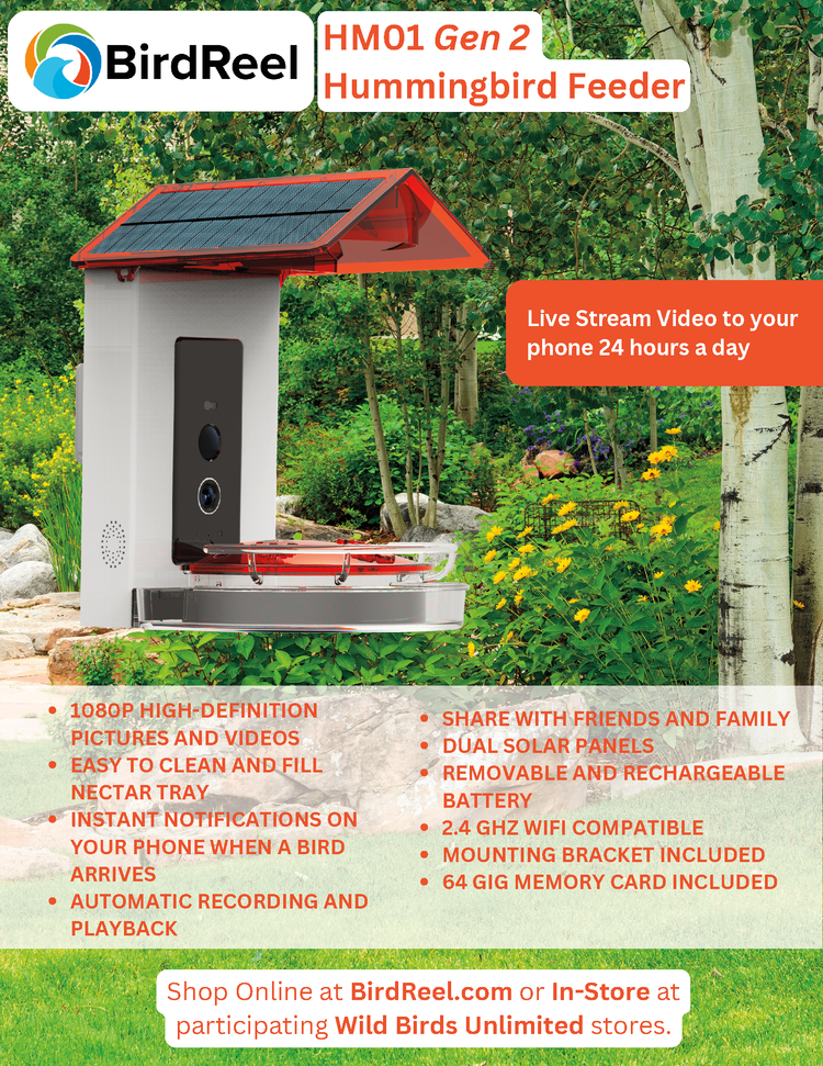 BirdReel Smart Bird Feeder