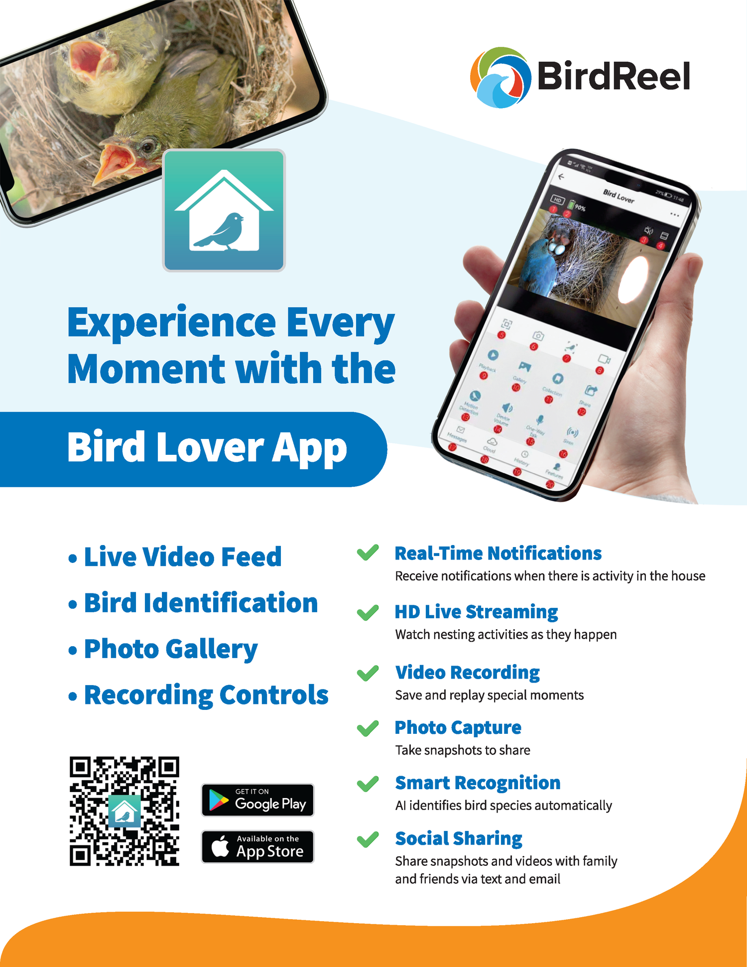 BirdReel Smart Bird Feeder