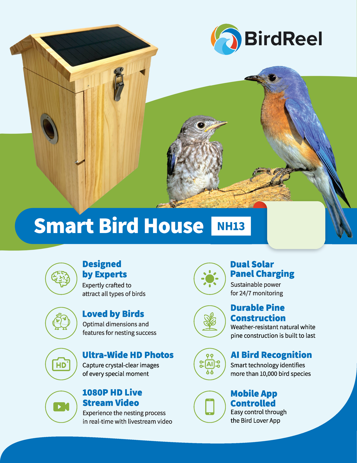 BirdReel Smart Bird Feeder