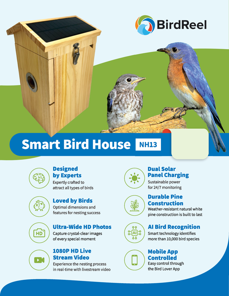 BirdReel Smart Bird Feeder